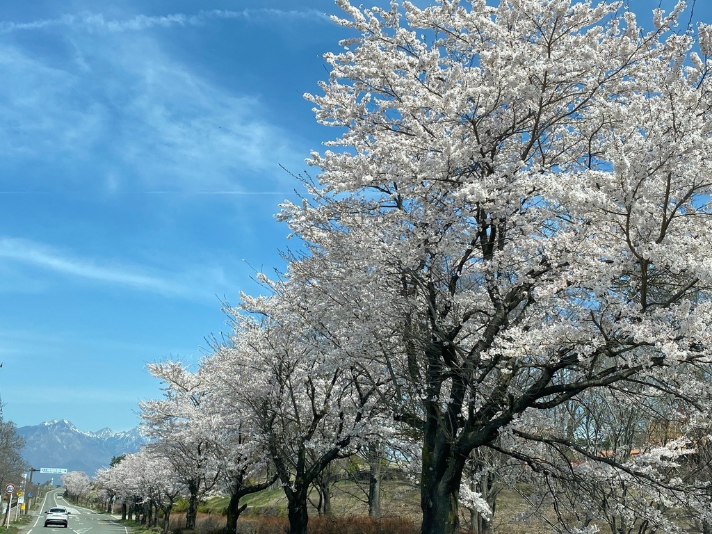 山梨 明野キャンプ: Petit-tantan