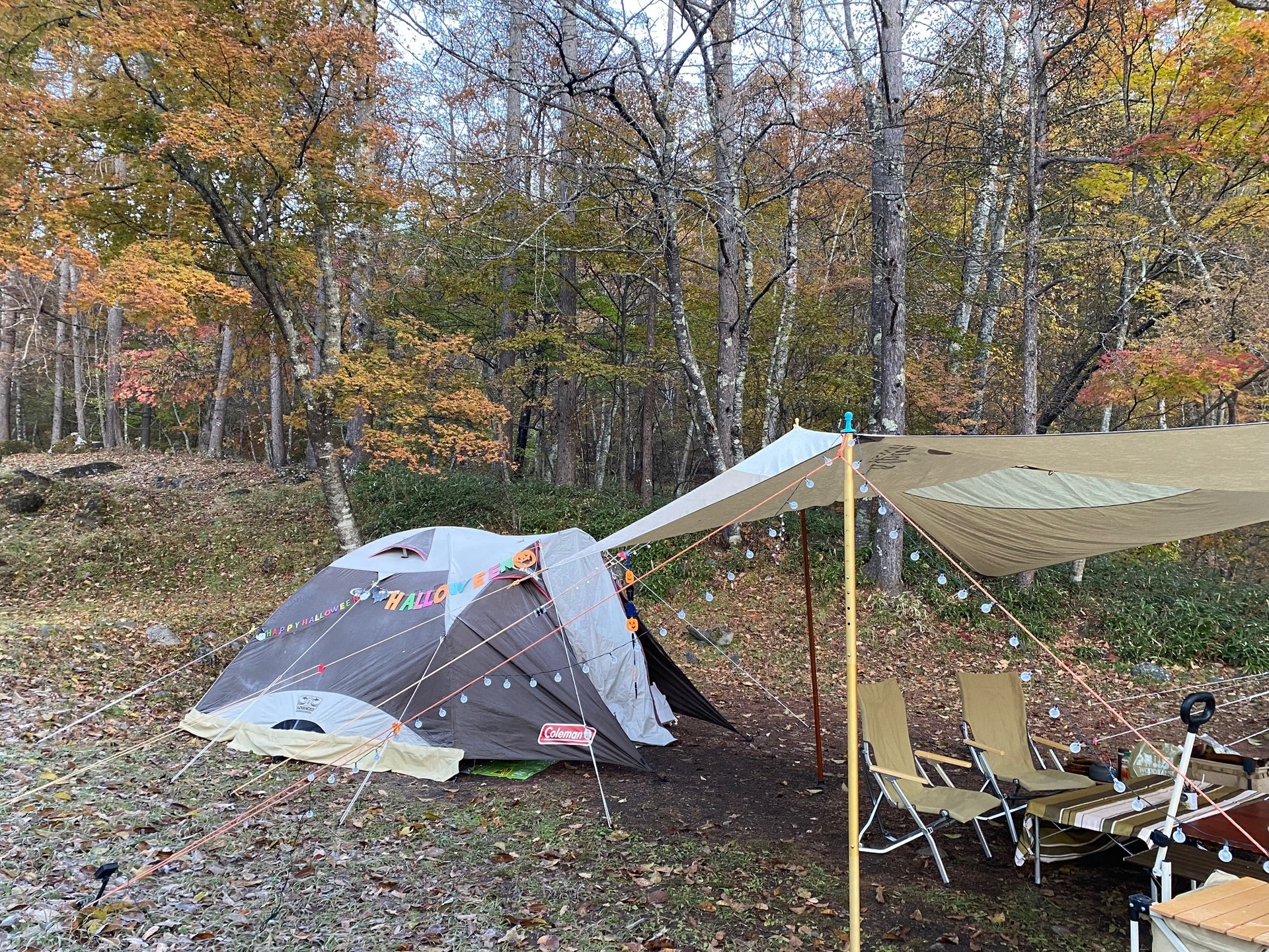 標高1300M 紅葉キャンプ : Petit-tantan